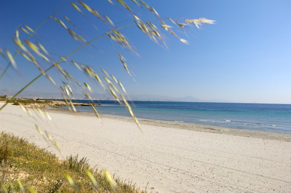 Visit Alicante coves and beaches | BGUEST